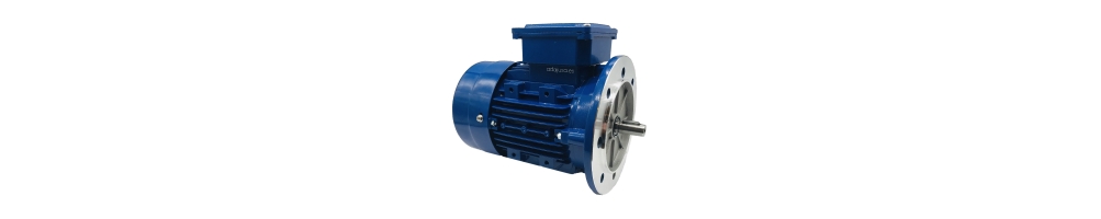 Motori elettrici trifase 1500 giri flangia B5 (Gambe) auto. alluminio ...